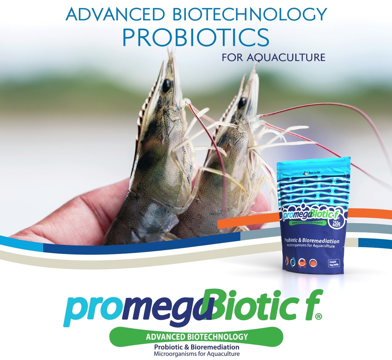 Epicin - Epizym - PromegaBiotic 和 LPB 的独家分销商